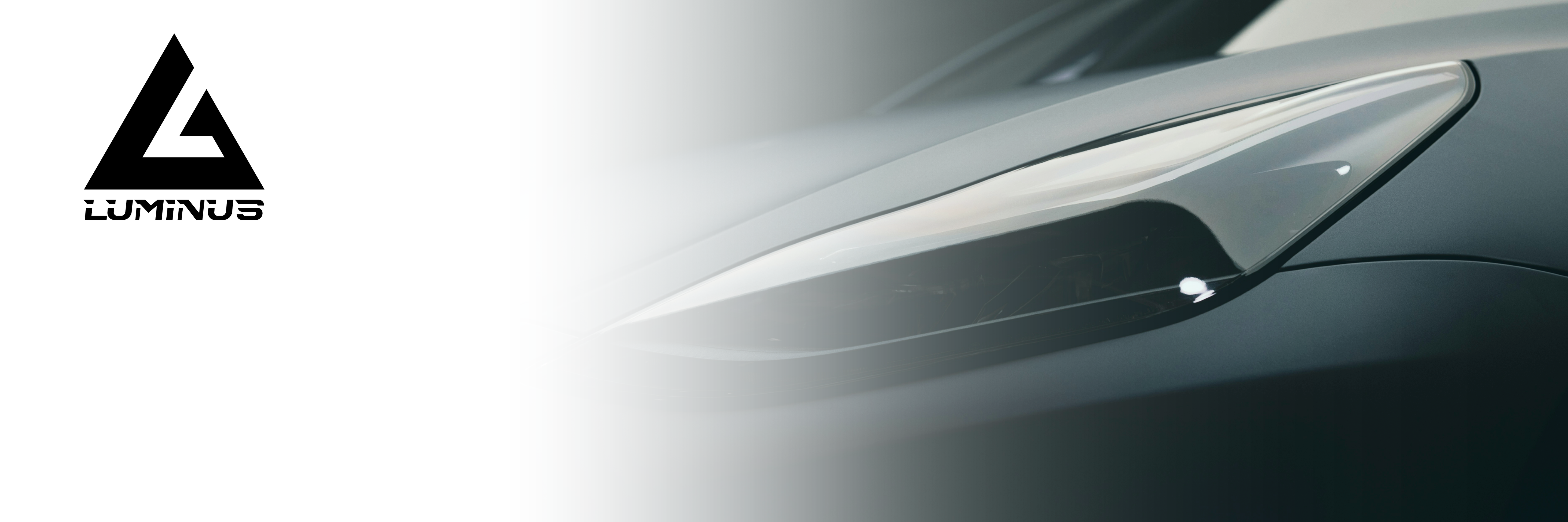 Luminus – The House Of Rags